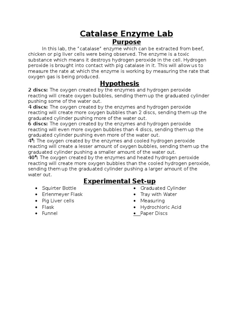 Catalase Enzyme Lab: Effect of Disc Quantity | PDF | Catalase | Peroxide