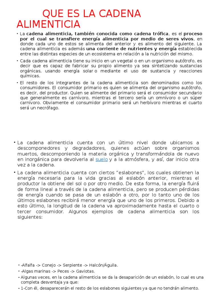 Que Es La Cadena Alimenticia | PDF | Entorno natural | Ecología
