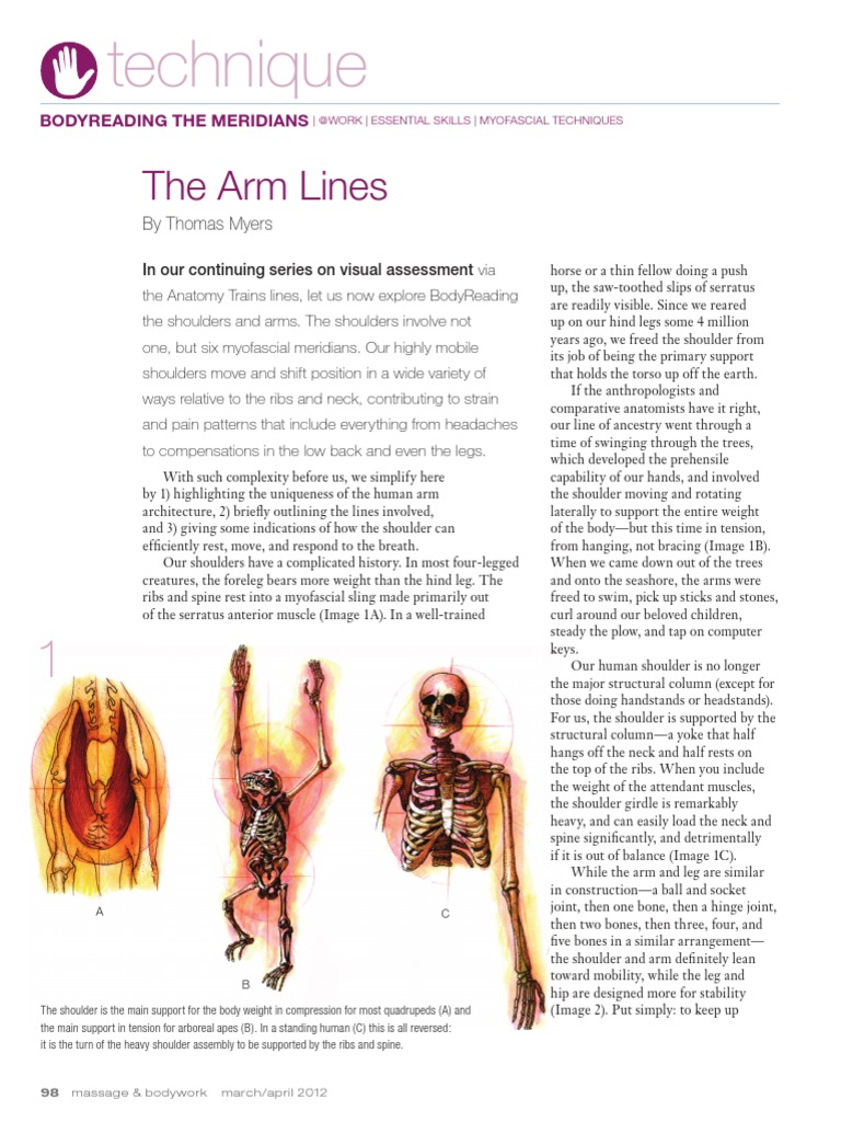 Technique: The Arm Lines | PDF | Anatomical Terms Of Motion | Shoulder