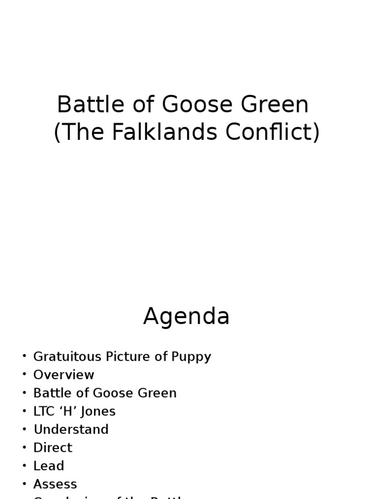 Battle of Goose Green Mission Command | PDF | Travel