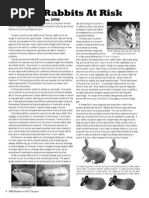 Rabbit Size-O-Meter Weight Guide | PDF | Obesity | Dieting