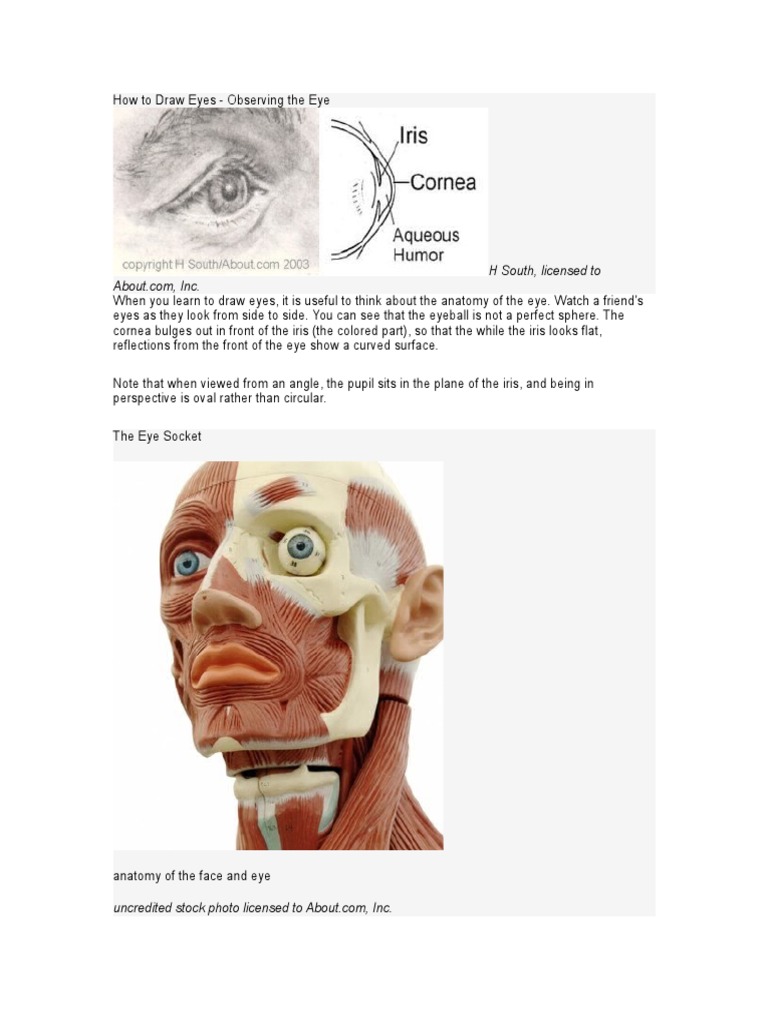 How To Draw Eyes | PDF | Drawing | Eye