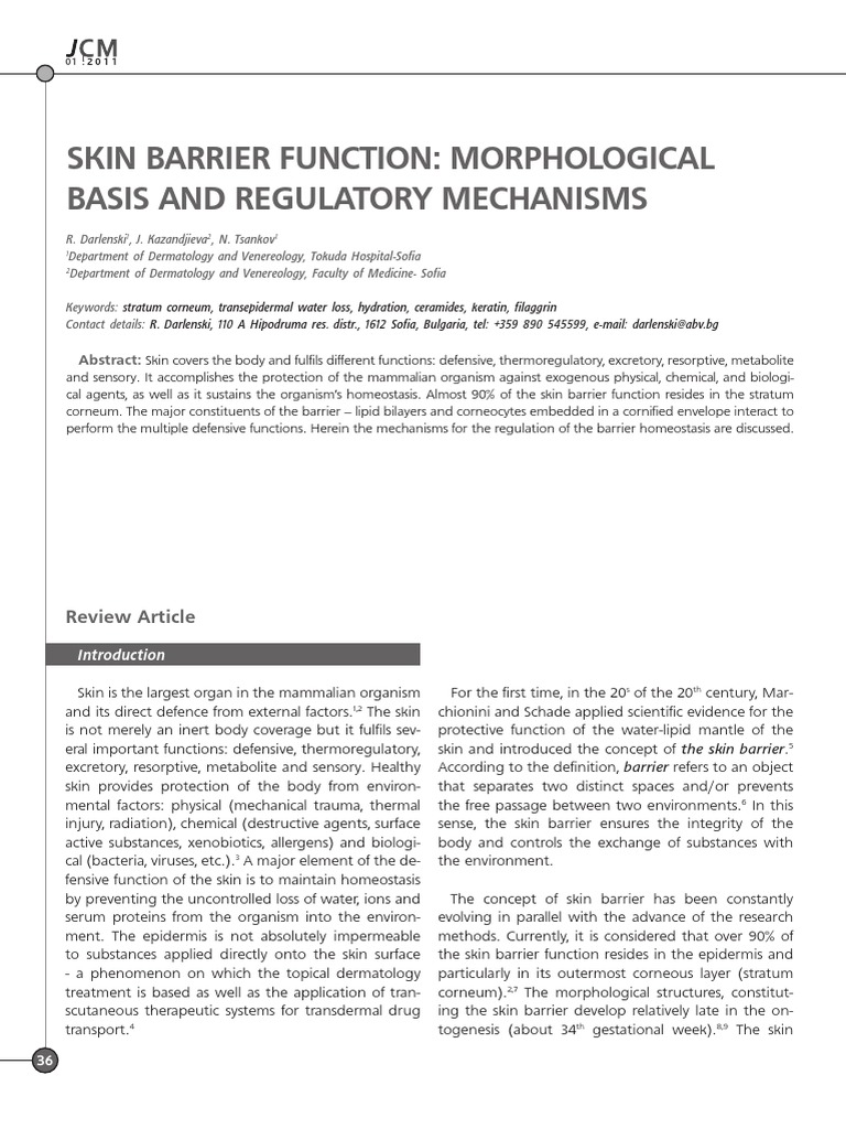 Skin Barrier Function Explained | PDF | Epidermis | Lipid