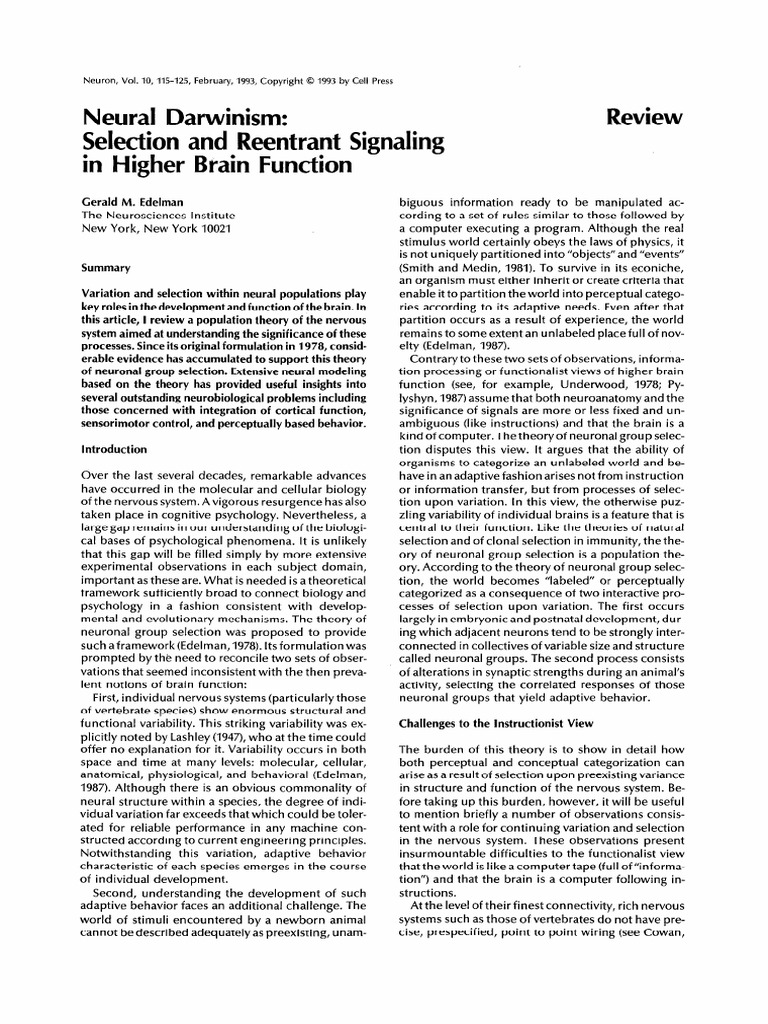 Neural Darwinism | PDF | Neural Oscillation | Nervous System