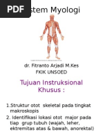 Anatomi Tulang dan Otot Trunk | PDF | Kajian Bahasa Asing