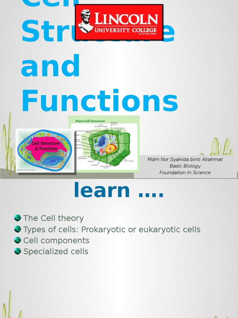 L1 - Cells Structure and Functions | PDF | Epithelium | Tissue (Biology)
