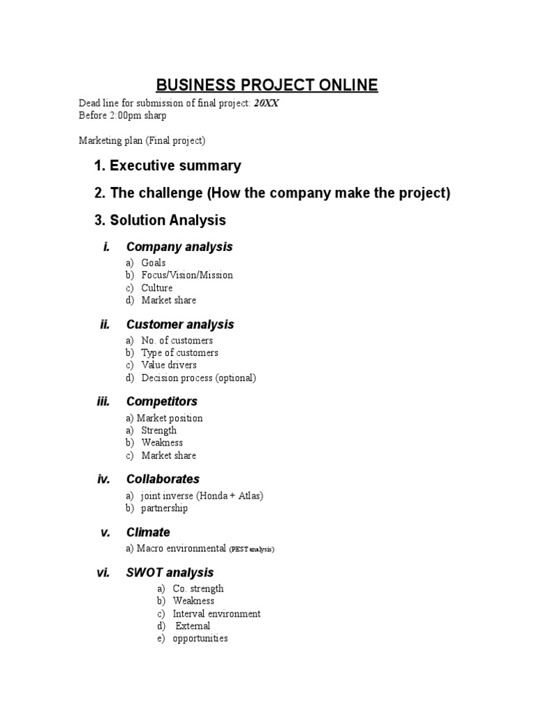 Final Marketing Project Overview | PDF