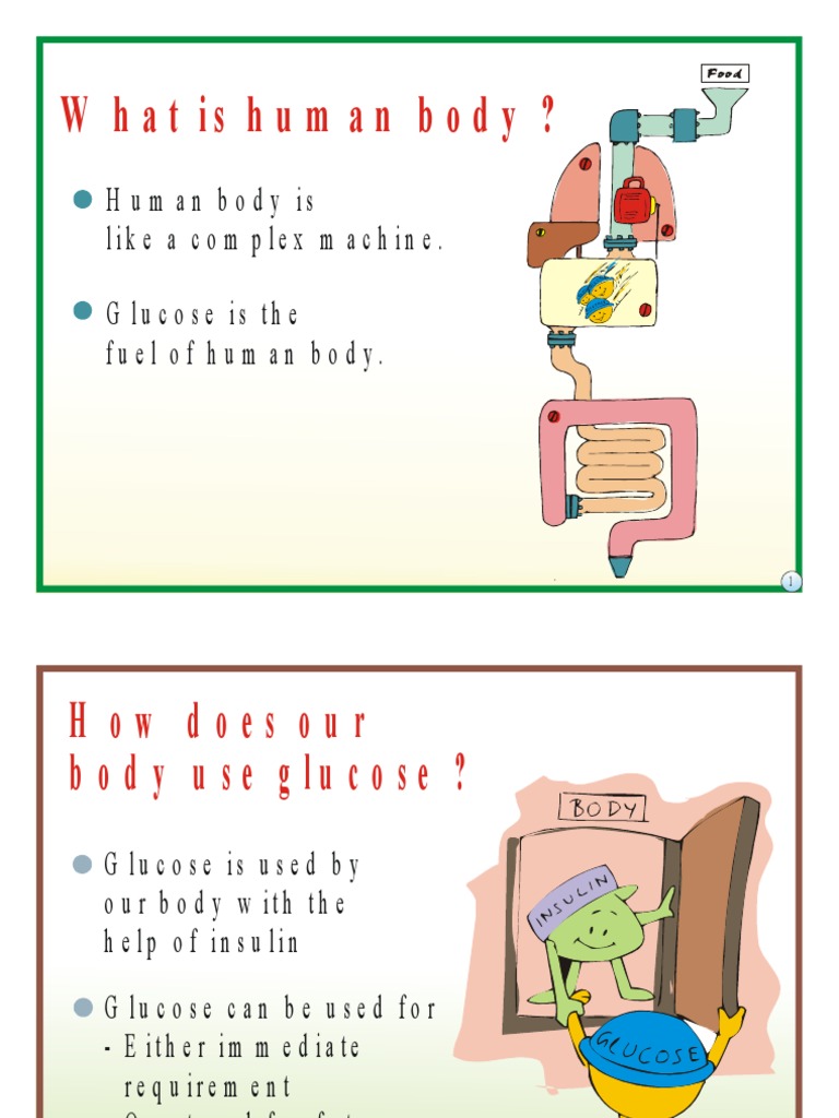 Diabetes Education | PDF | Diabetes | Endocrine System