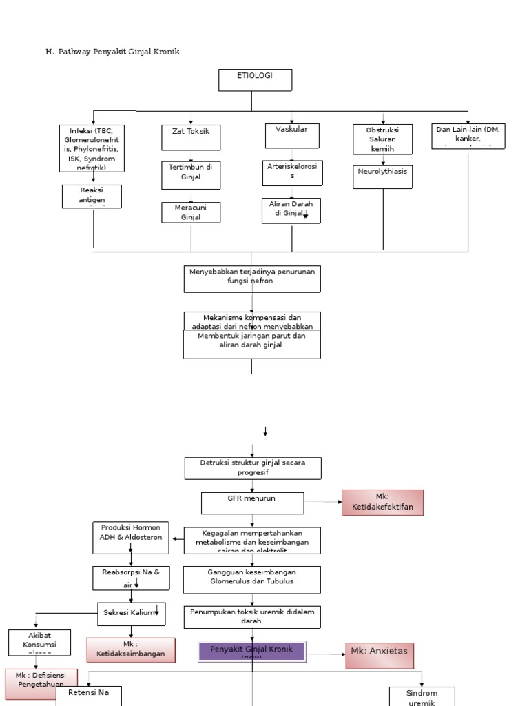MEKANISME PENYAKIT GINJAL KRONIK | PDF