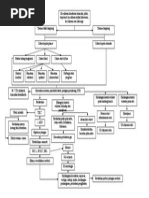 Pathway Cedera Kepala | PDF | Pengembangan Diri | Kesehatan Holistik