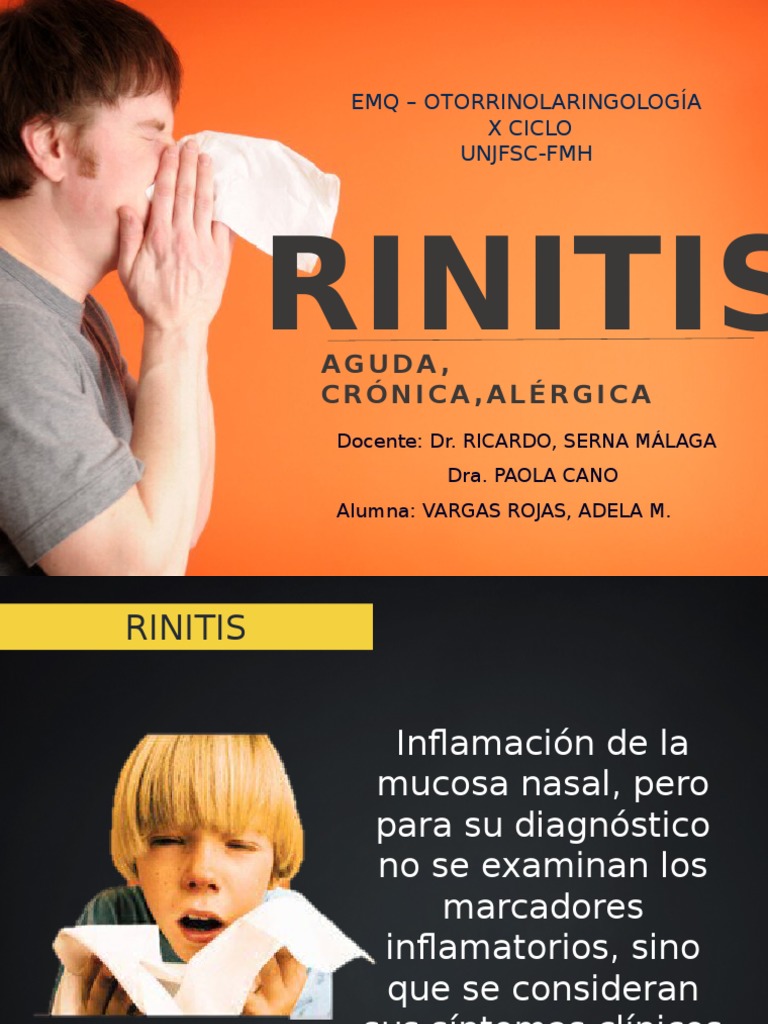 Guía Completa sobre Rinitis | PDF | Alergia | Especialidades Medicas