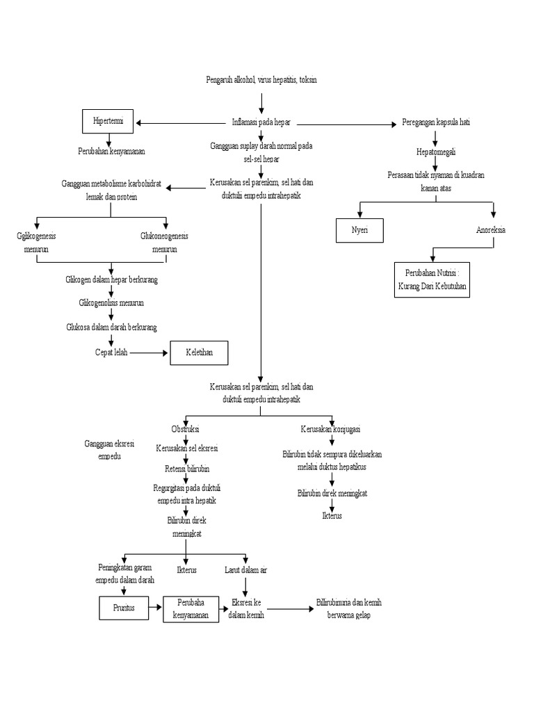 Pathway Hepatitis | PDF