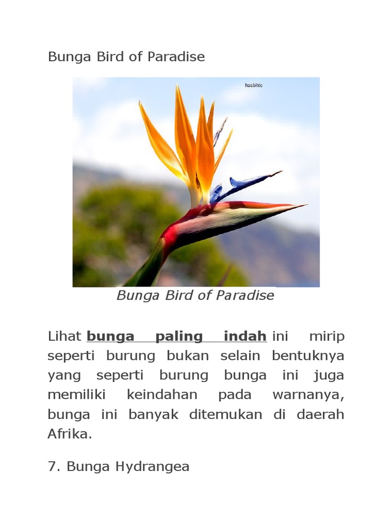 Keindahan Bunga Bird of Paradise | PDF | Griya & Taman