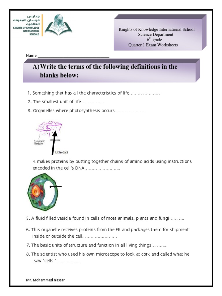 6th Grade Cell Structure Exam Worksheets | PDF | Cytoplasm | Cell (Biology)