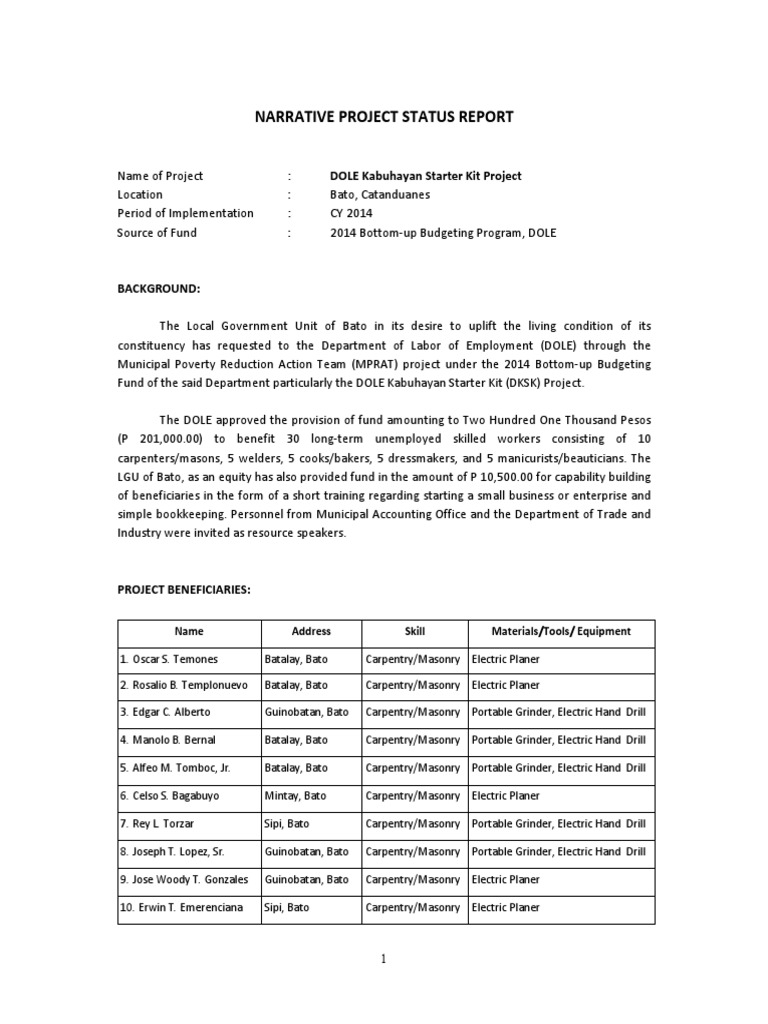 Narrative Project Status Report - DKSK Project | PDF | Industries ...