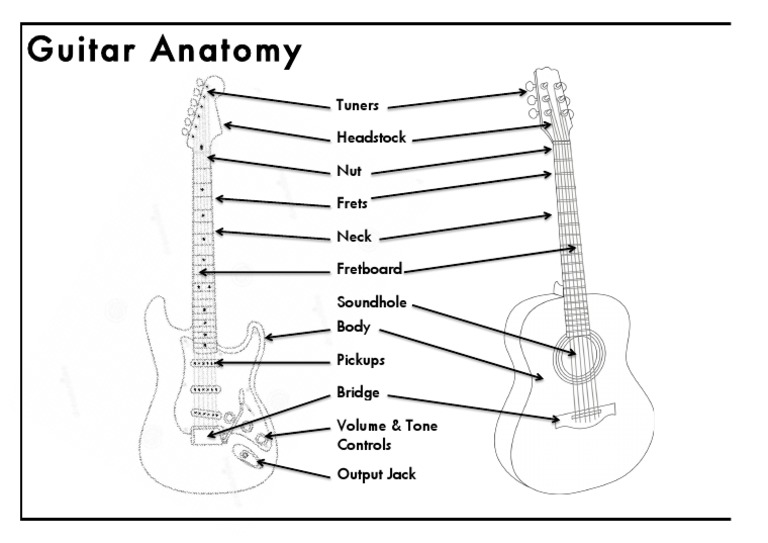 Guitar Anatomy | PDF