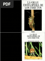 Abecedario de Insectos: A a Z | PDF
