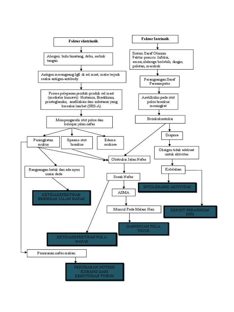 PATHWAY Asma Lengkap | PDF