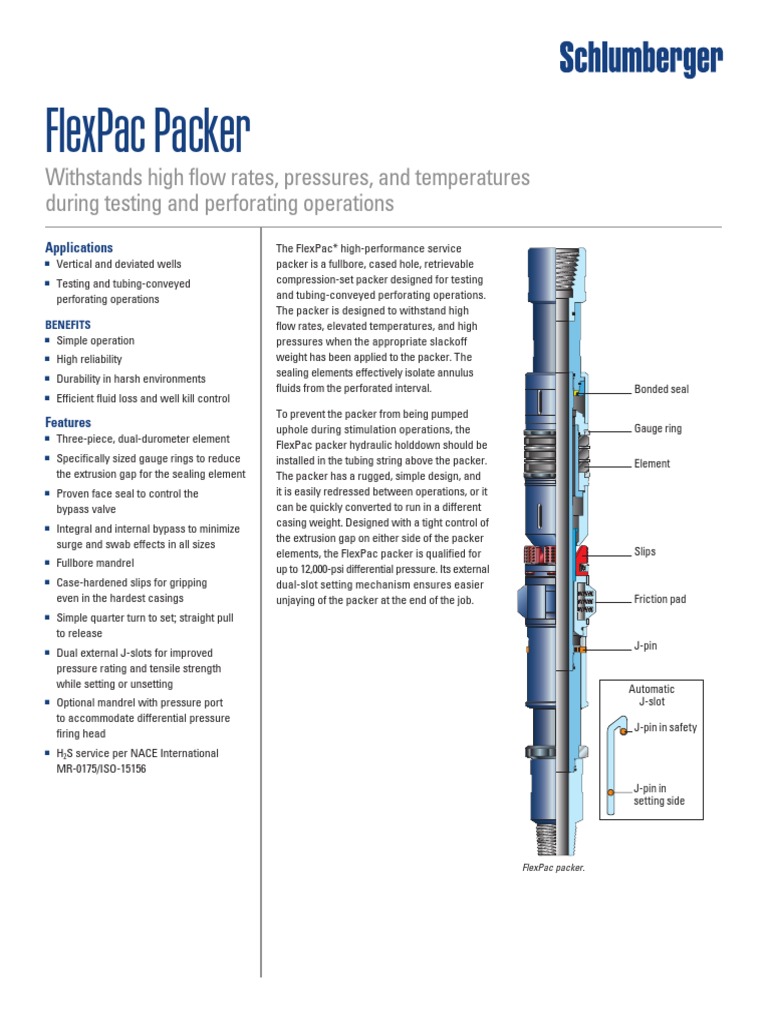 Flexpac Packer Ps | PDF | Casing (Borehole) | Building Engineering
