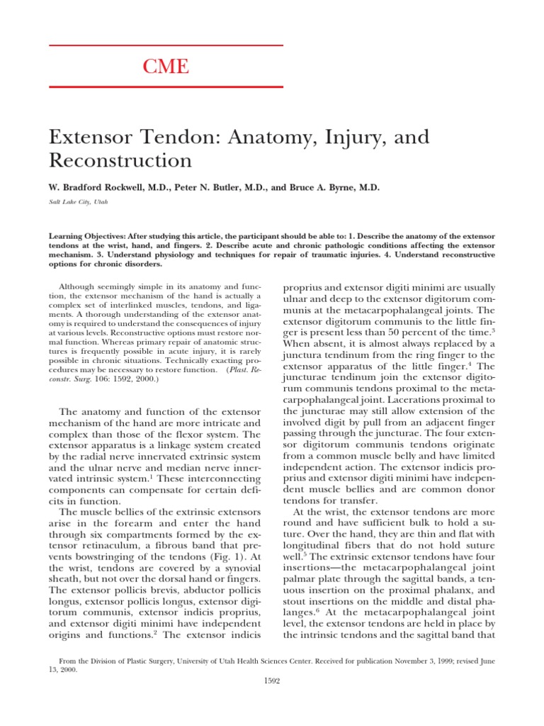 0012-Extensor Tendon Anatomy | PDF