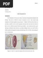 Seed Germination Report Sample (Easy) | PDF | Seedling | Seed