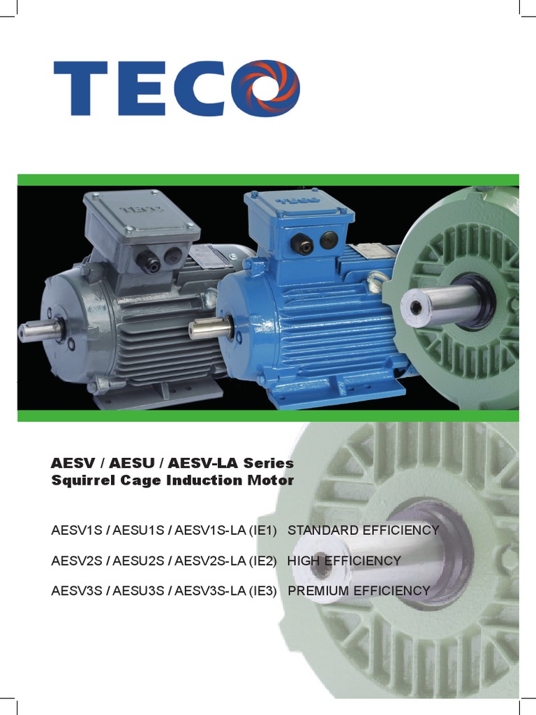 AESV Catalogue Final | PDF | Electric Motor | Engines