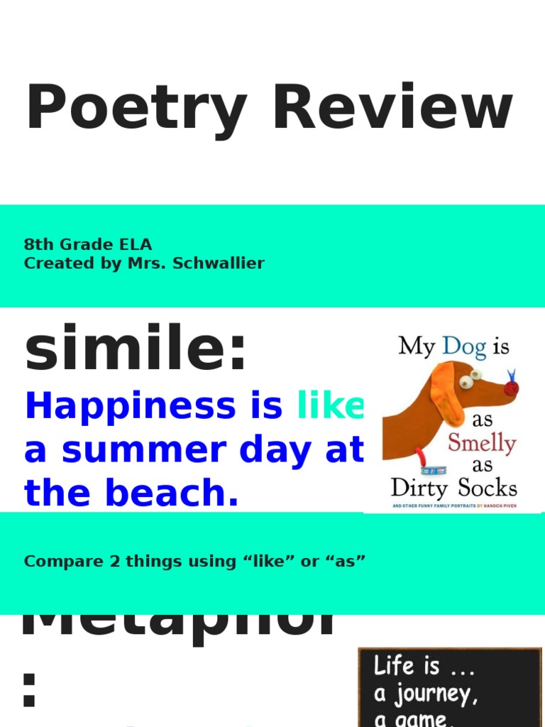 8th Grade Poetry Techniques Guide | PDF