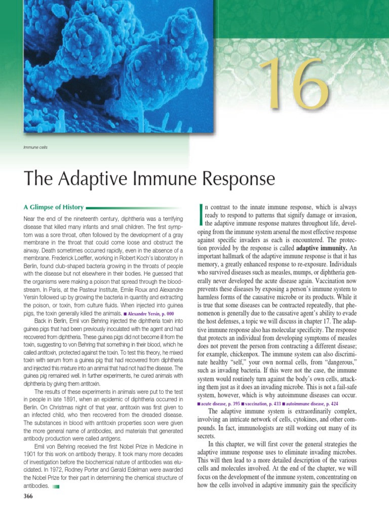 Adaptive Immunity | PDF | Lymphatic System | Adaptive Immune System