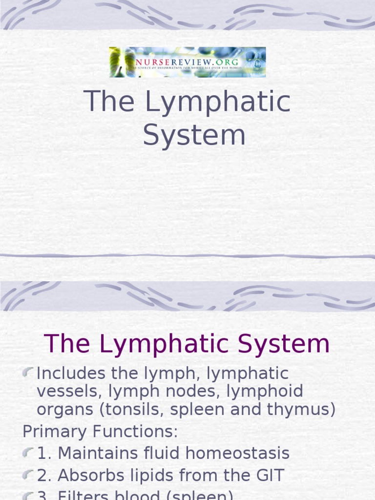 Lymphatics and Respiratory System | PDF | Lymphatic System ...