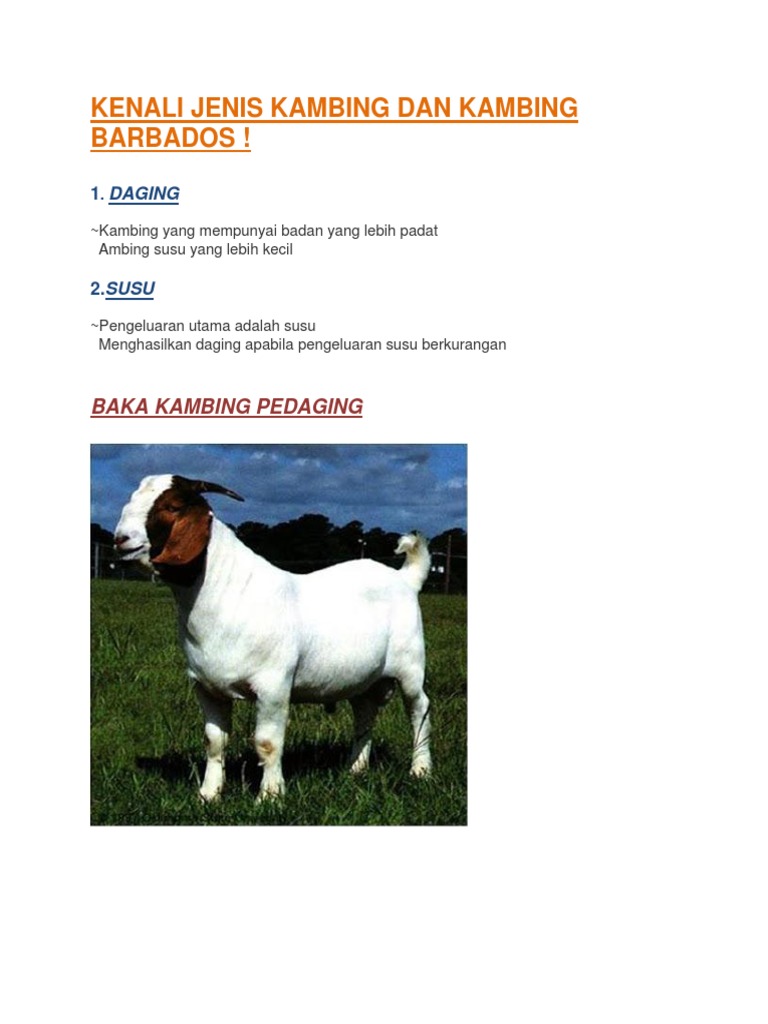 Jenis-jenis Kambing dan Baka Terbaik | PDF