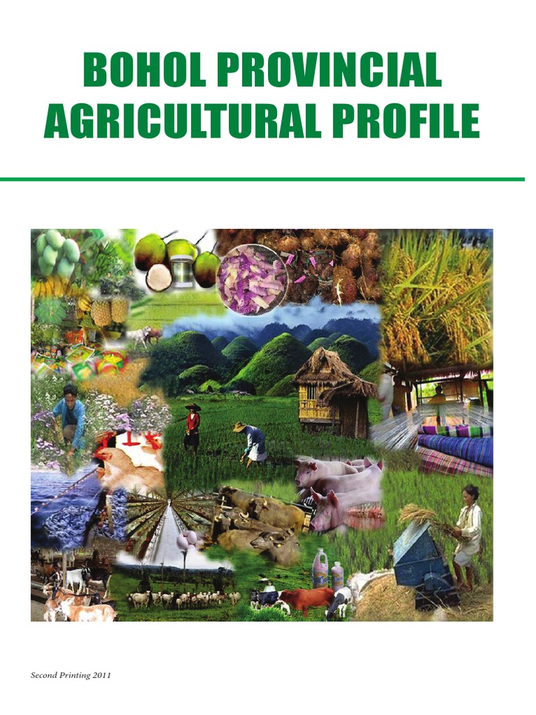 Bohol Provincial Agricultural Profile | Vegetables | Crops