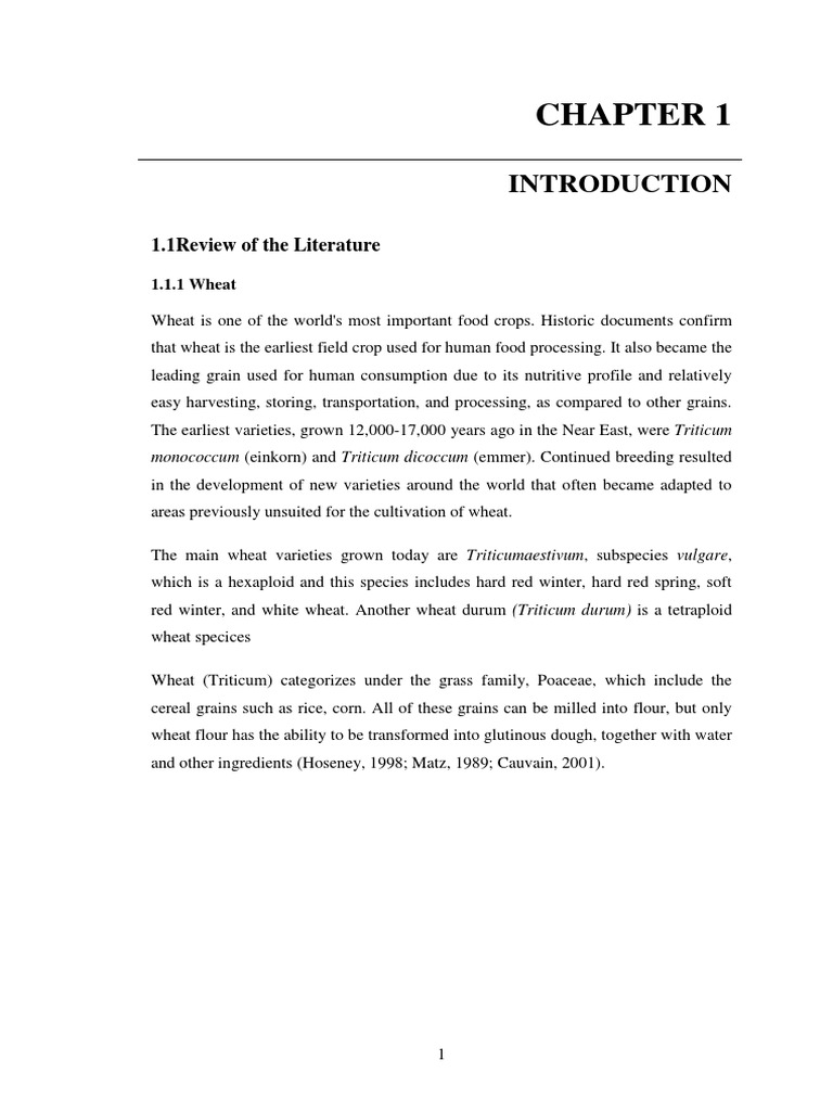 Body of Thesis | PDF | Breads | Flour