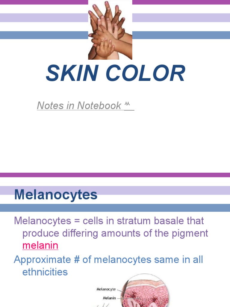 Understanding Skin Color Variations | PDF