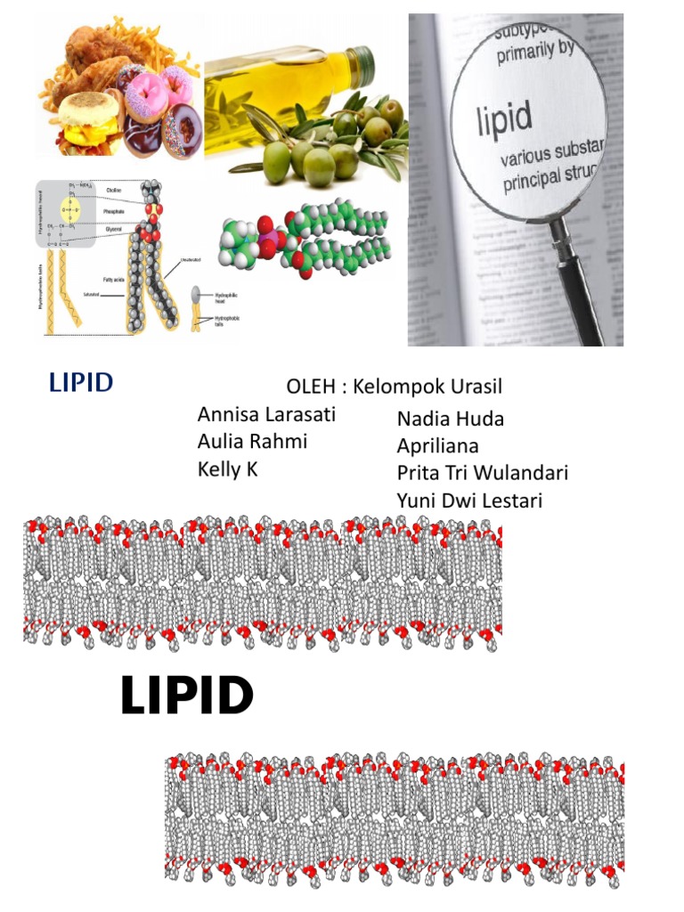 Lipid | PDF