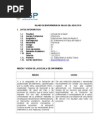 Carta Programatica | PDF | Enfermería | Vejez