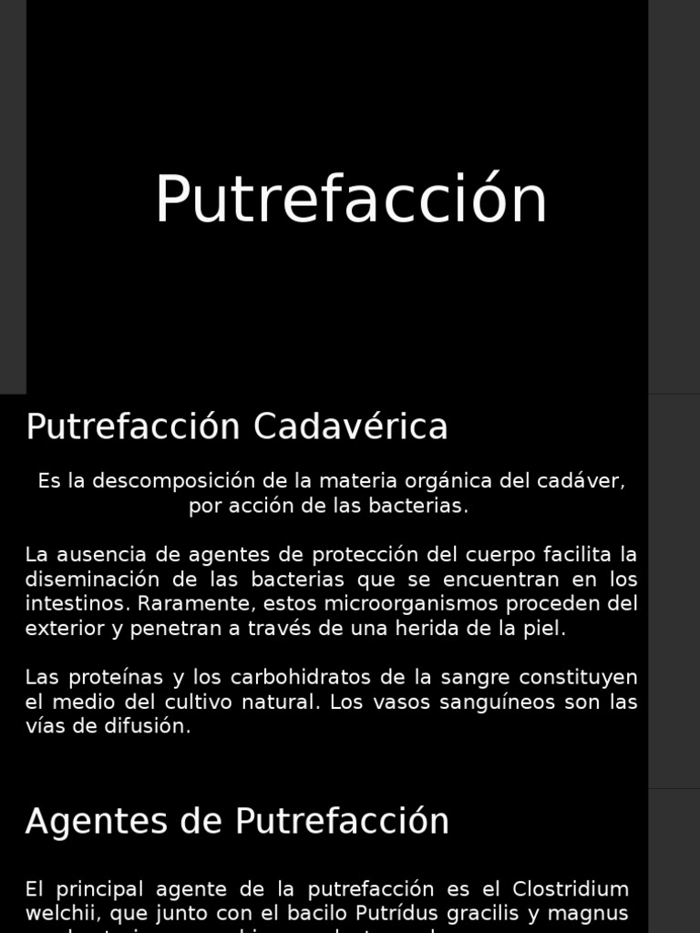 Putrefaccion | Descomposición | Las bacterias