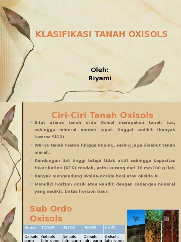 Klasifikasi Tanah Oxisols | PDF
