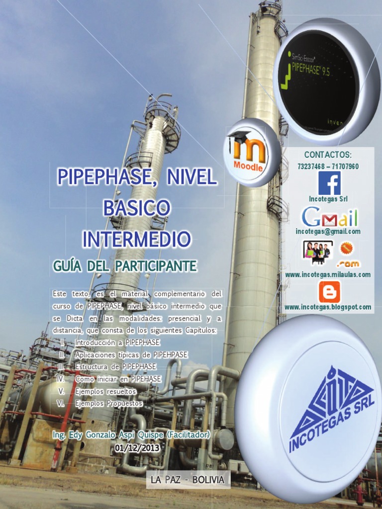 Curso Básico de PIPEPHASE | PDF | Tubería (transporte de fluidos ...