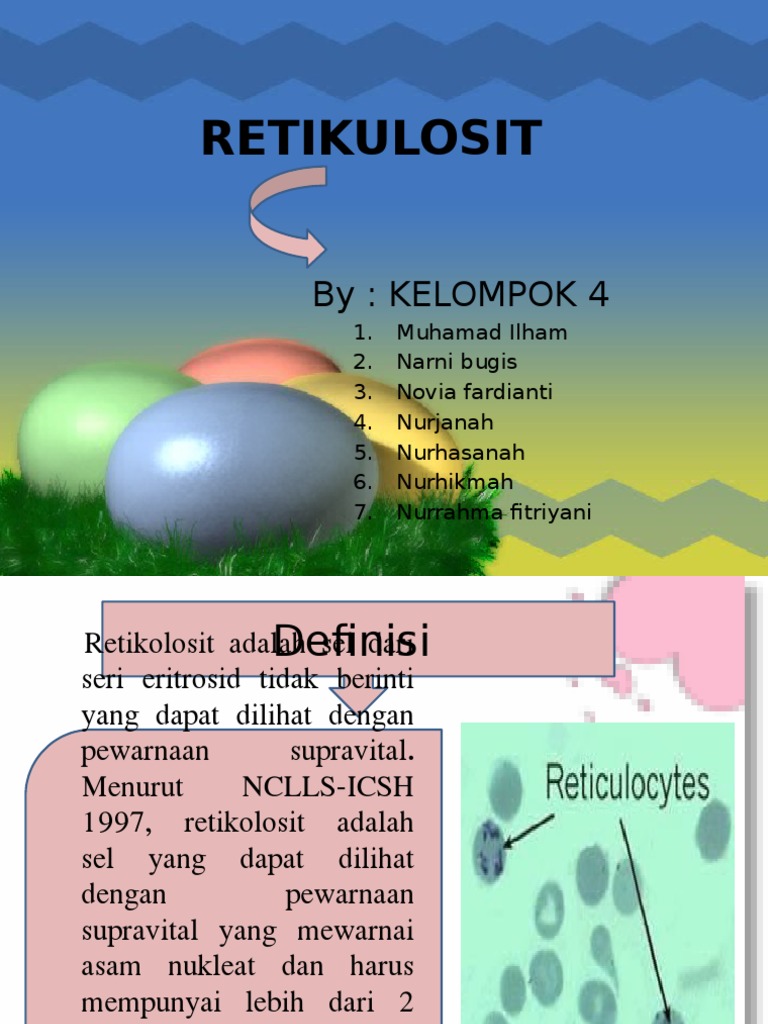 Retikulosit | PDF