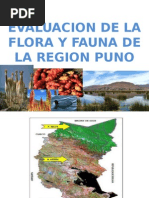 Flora y Fauna de Puno | PDF