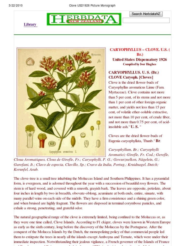 Clove USD1926 Picture Monograph | PDF | Clove | Essential Oil