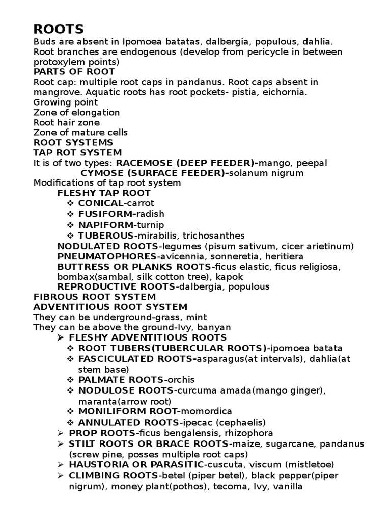 Types and Examples of Root Systems | PDF | Root | Plants
