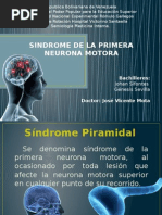 Sindromes Alternos | PDF | Sistema nervioso central | Neurología