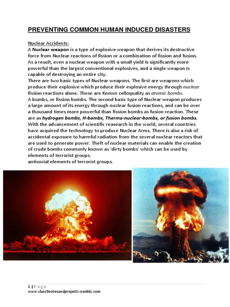 preventing_common_human_induced_disasters.pdf | Nuclear Weapons ...