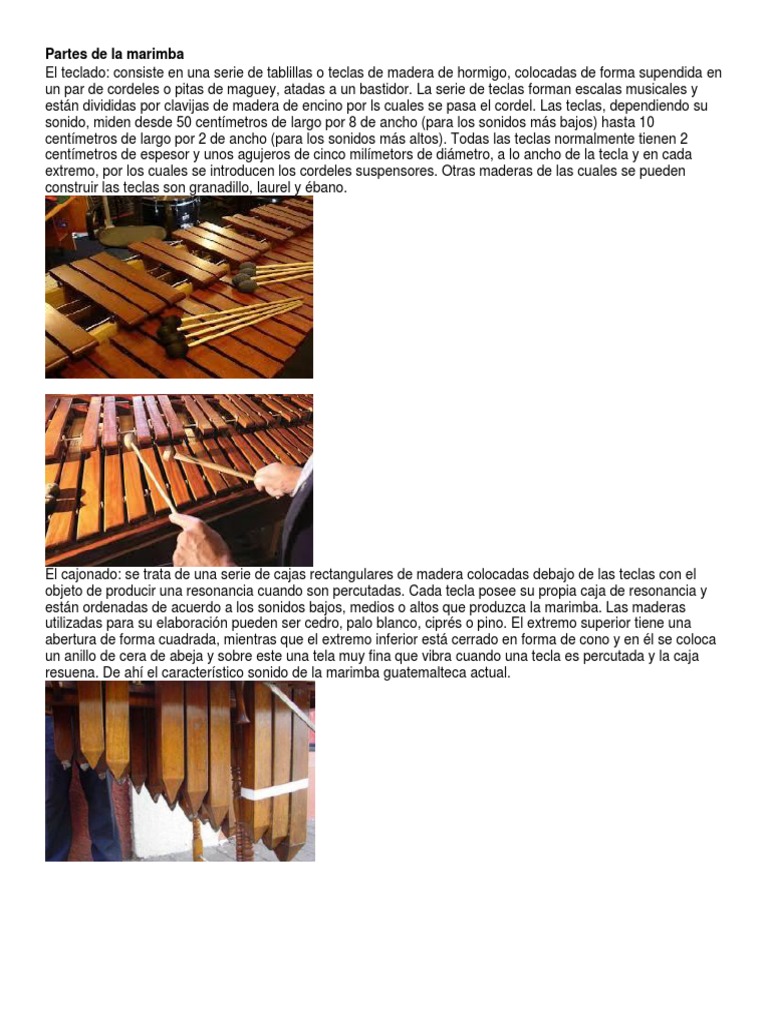Partes de La Marimba | PDF | Entretenimiento (general)
