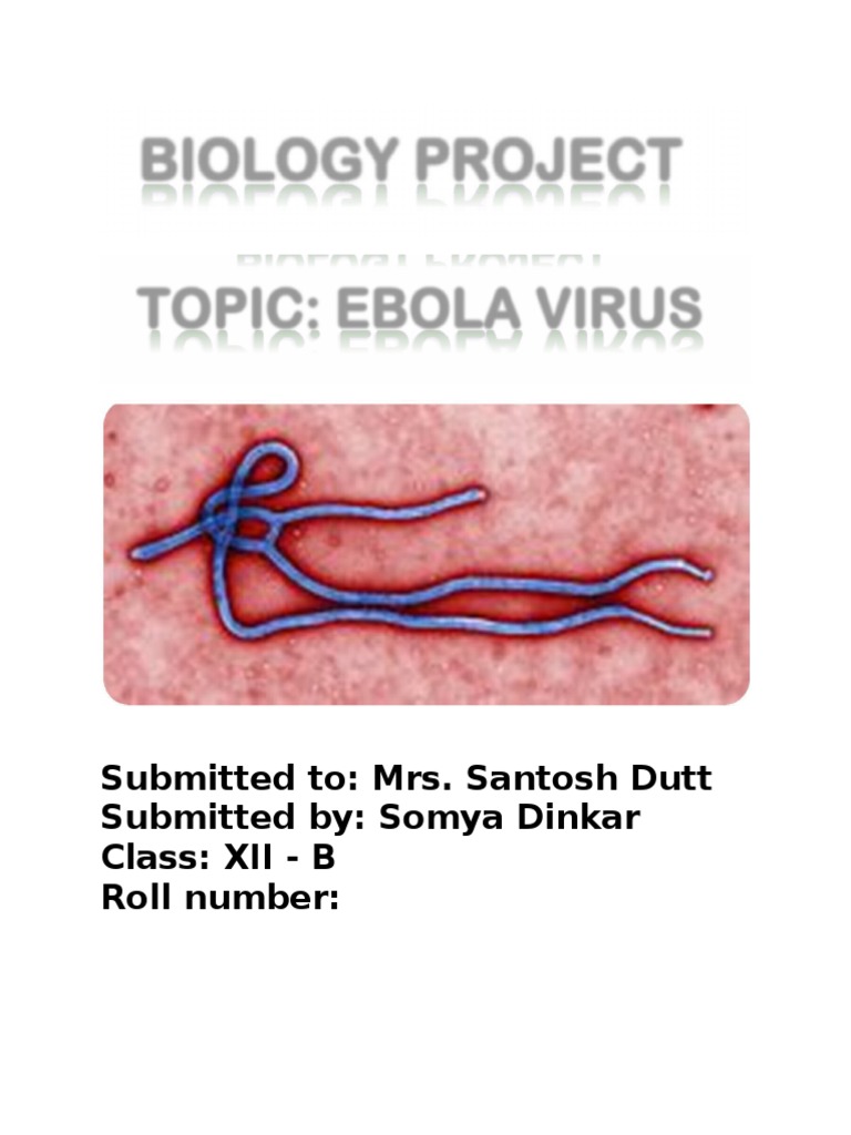 XII Student's Biology Project on Ebola Virus | PDF | Ebola Virus ...