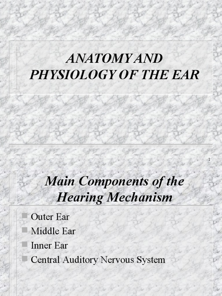 Anatomy and Physiology of The Ear | PDF | Ear | Auditory System