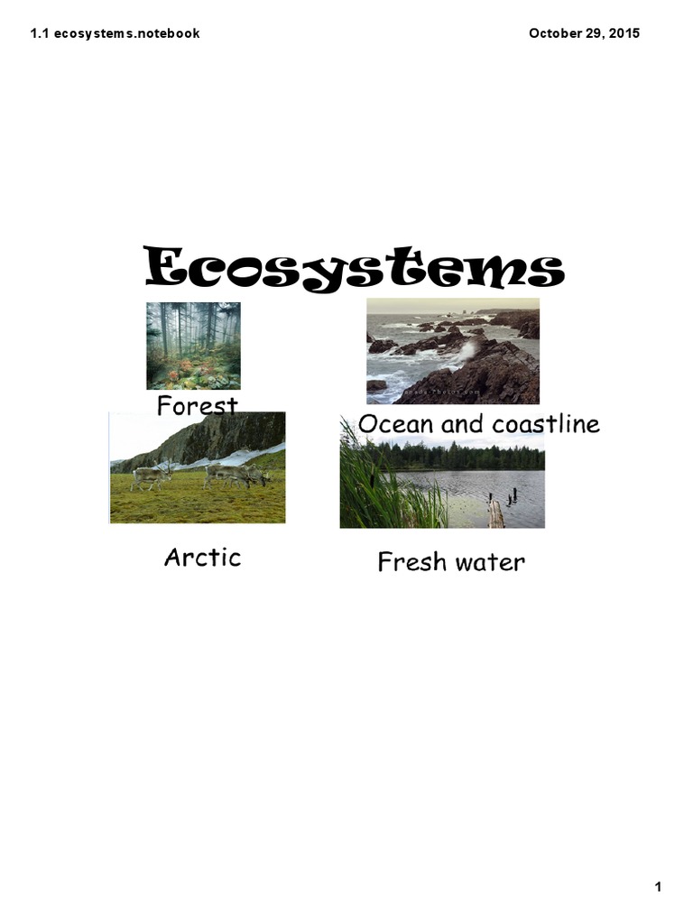 Ecosystem | PDF