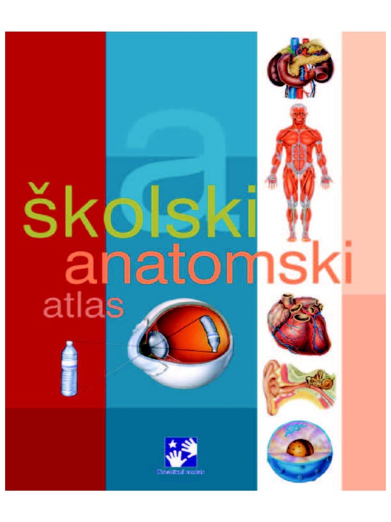 Školski Anatomski Atlas | PDF