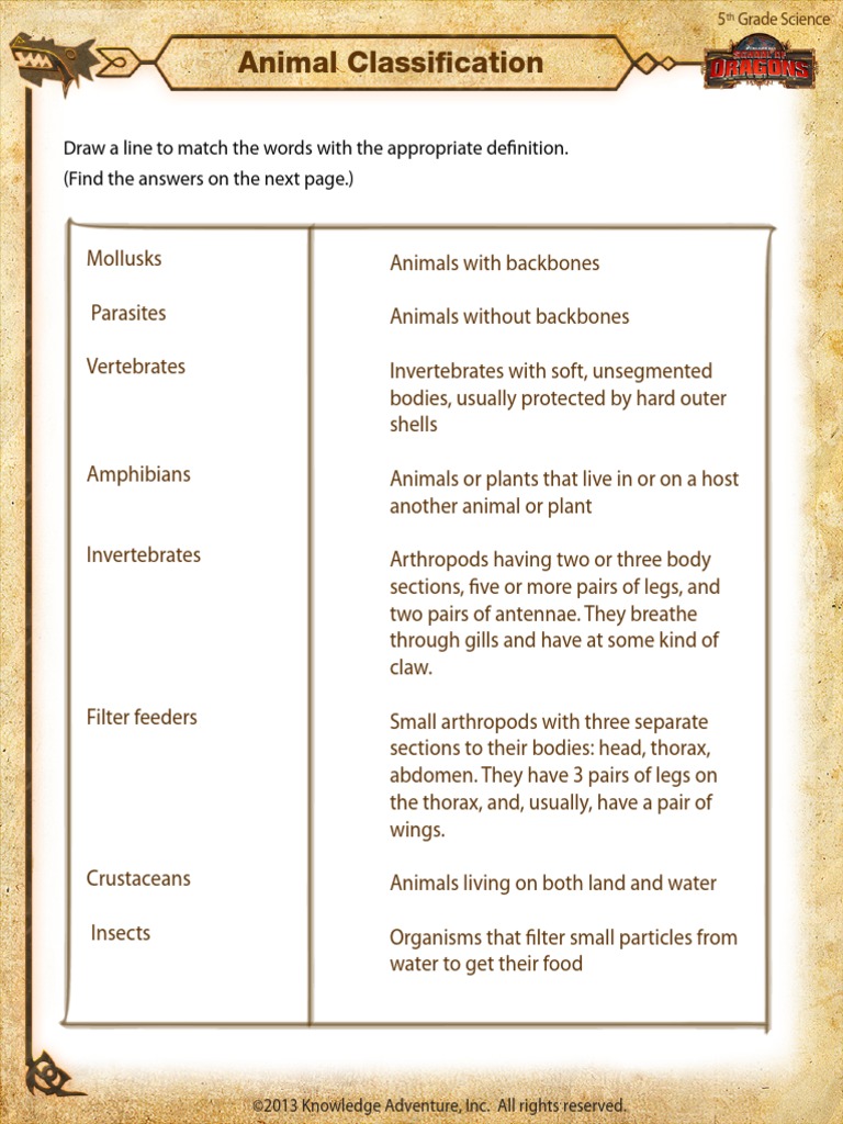 Animal Classification for 5th Grade | PDF